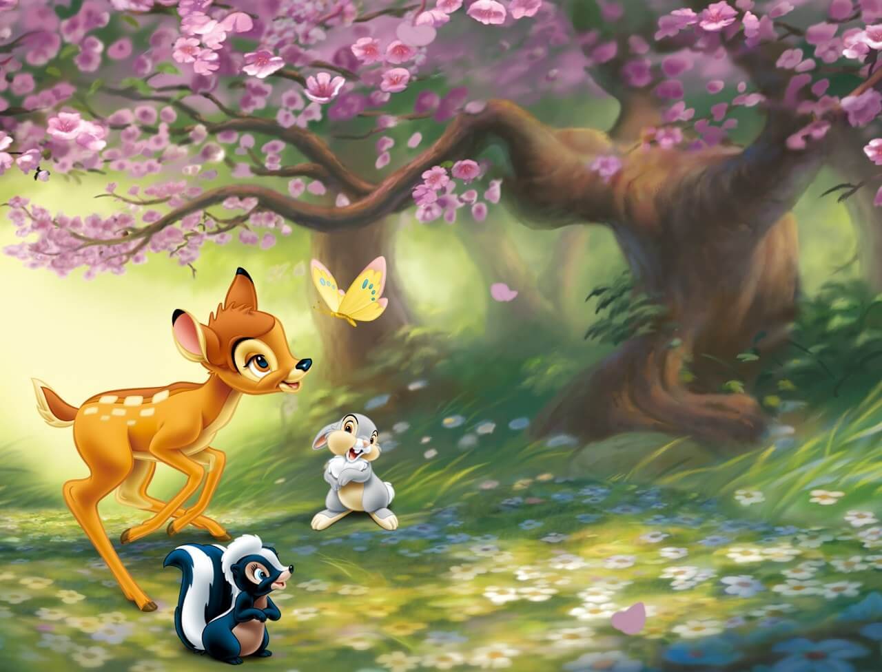 studio binder animation